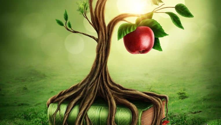 Hoegaarden Verboden Vrucht Bier Review - 2024 - BesteBiertje.nl